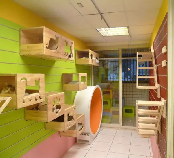 How to Decorate Your Apartment For Your Cat’s Enjoyment