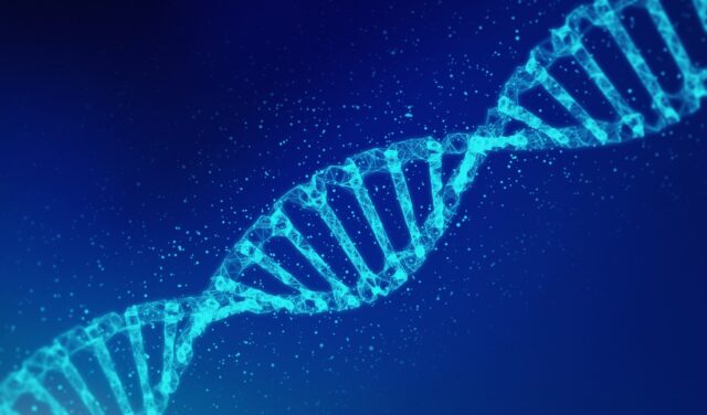 The Most Accurate Cat DNA Test In 2024 – Basepaws Cat DNA Kit Review