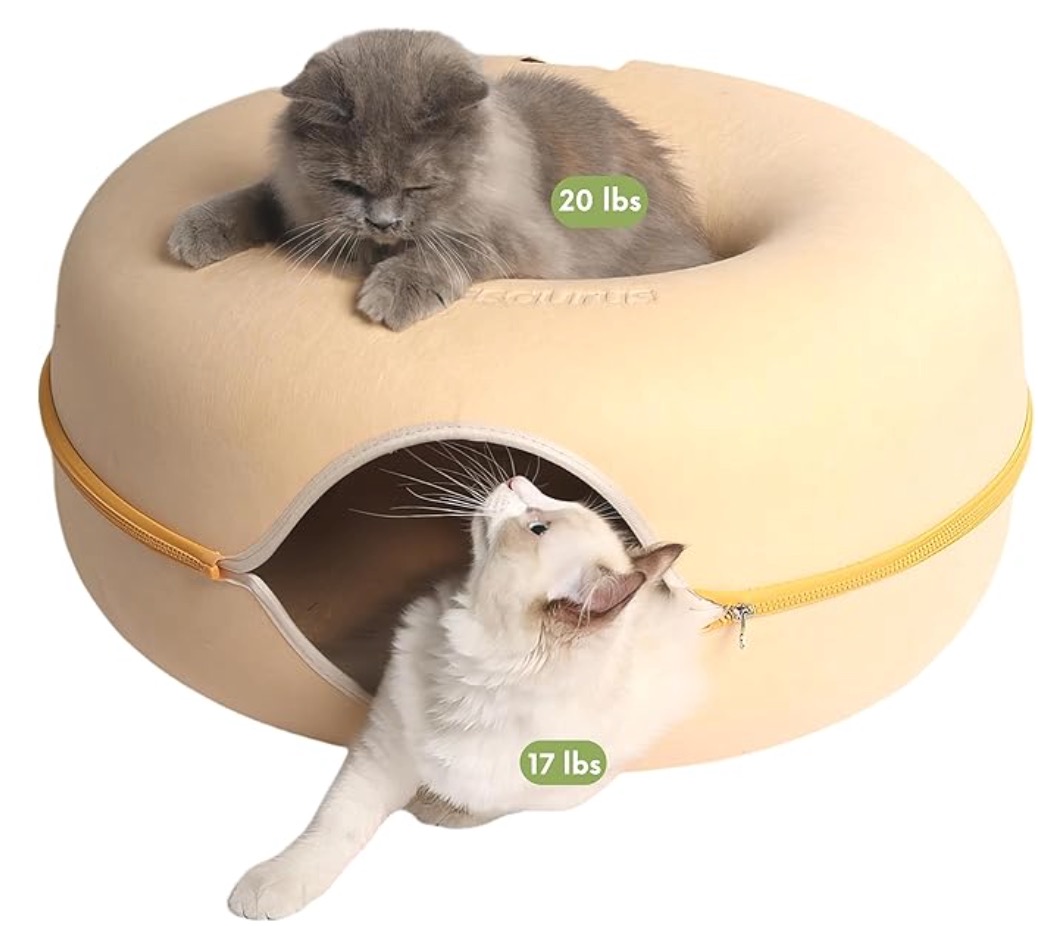 Creative DIY Cat Wall Furniture Ideas For Your Feline Friend