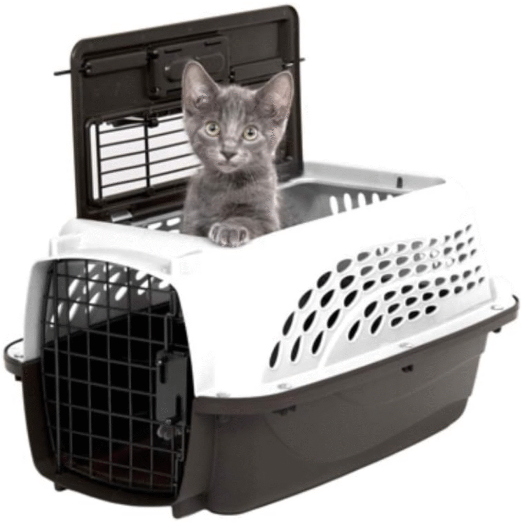 Discover the Best Cat Cage: Indoor & Outdoor Options!